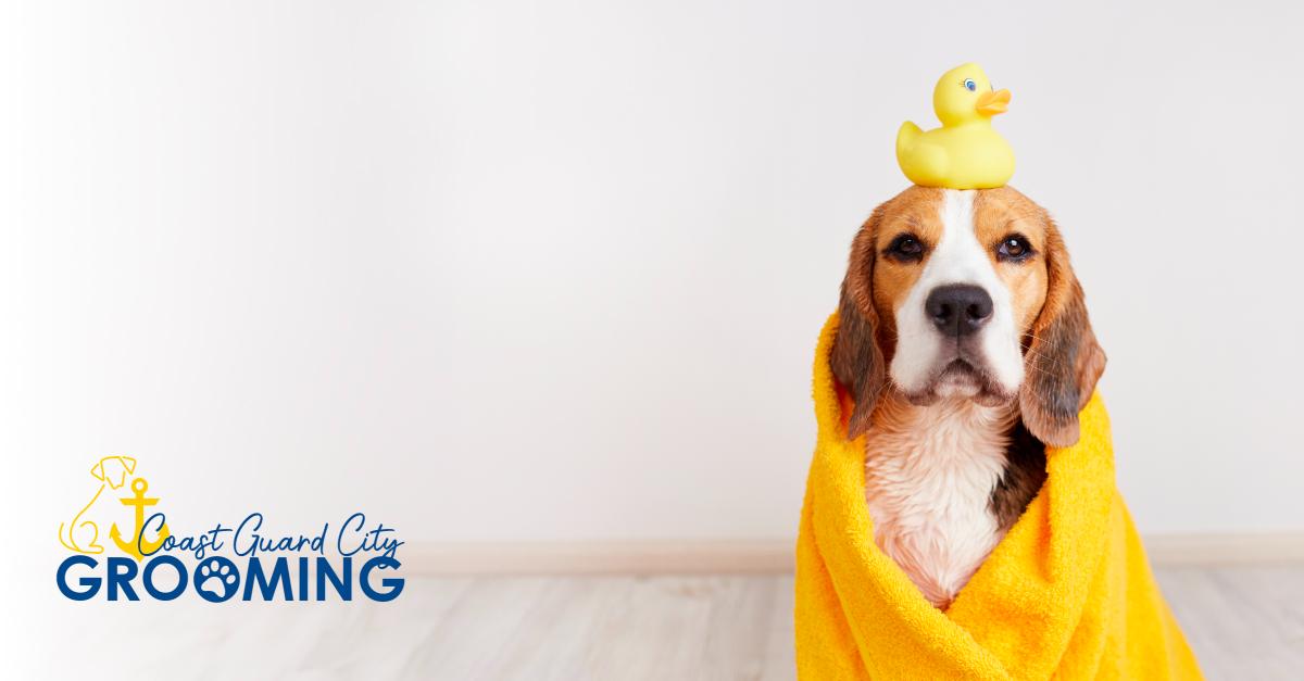 Pampered Pet Grooming in Grand Haven | Coast Guard City Grooming