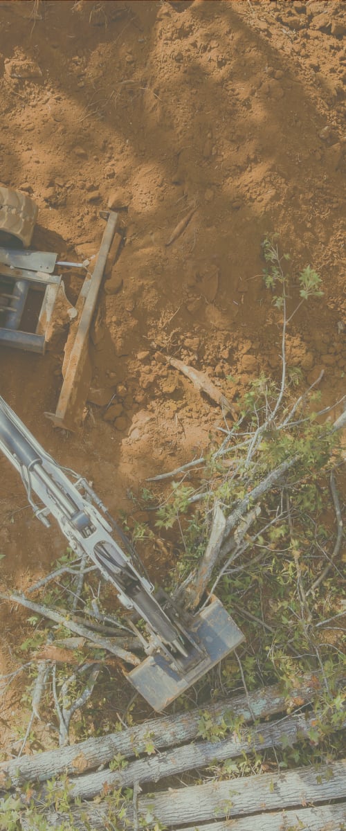 Efficient Land Clearing Services in West Michigan | West Michigan ...