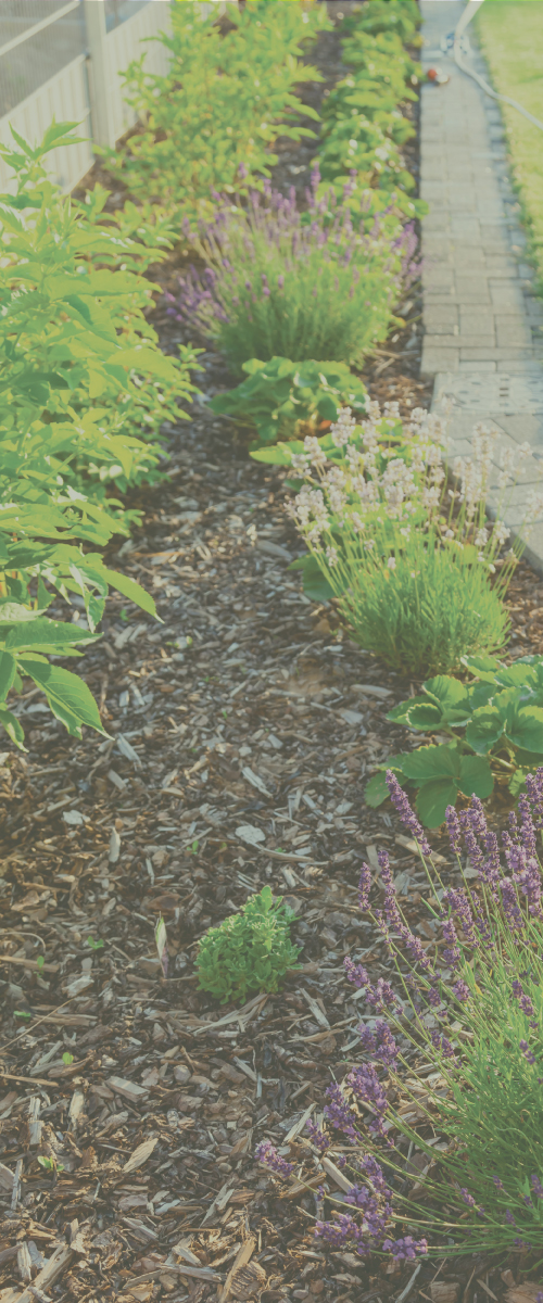 Enhance Your Landscape with Bark Installation | West Michigan Grounds ...