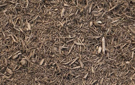 Enhance Your Landscape with Bark Installation | West Michigan Grounds ...