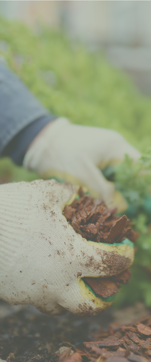 Transform Your Landscape with West Michigan Grounds Services